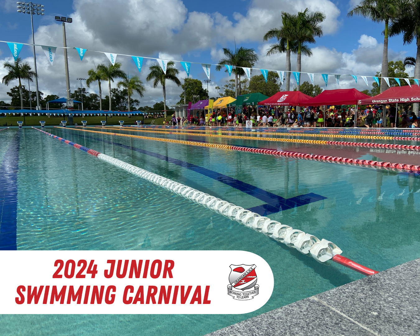 2024 Junior Swimming Carnival - Newsletter