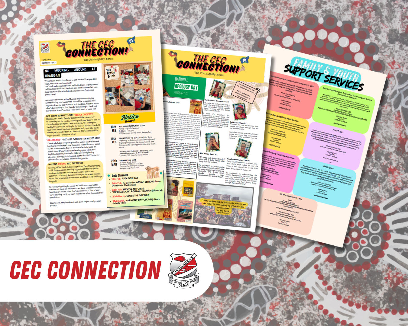 The CEC Connection - Newsletter, Second Edition